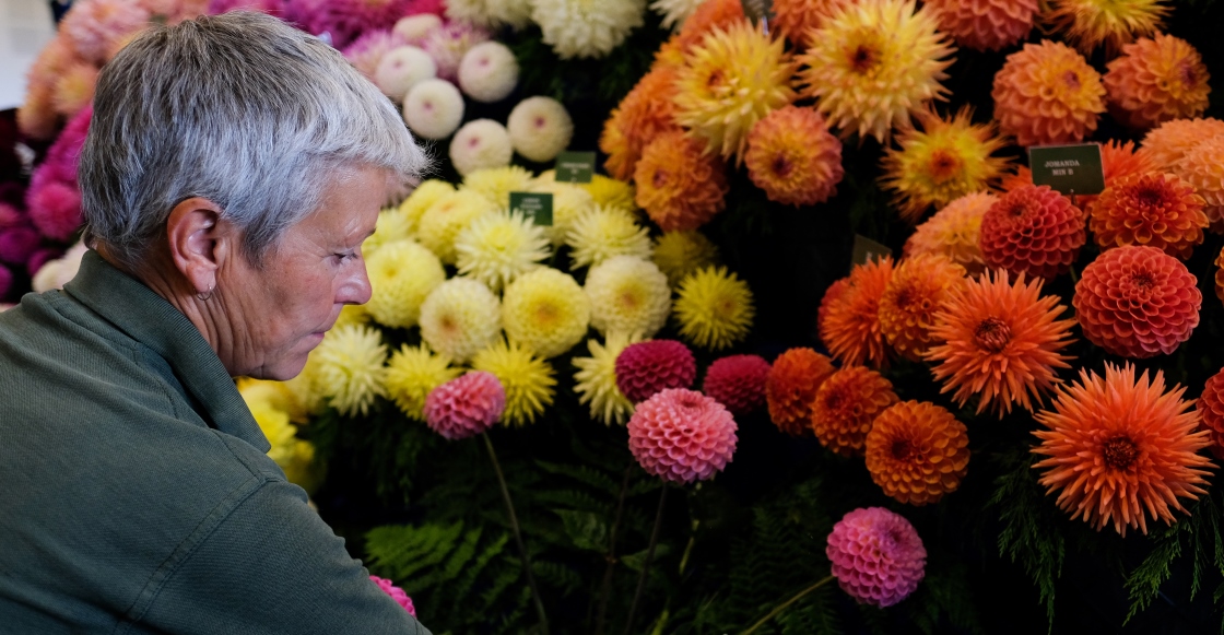 El calendario astronómico para este 2020 en México – Andres Oviedo